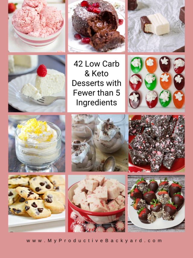 42 Low Carb Keto Desserts with Fewer than 5 Ingredients - My Productive ...