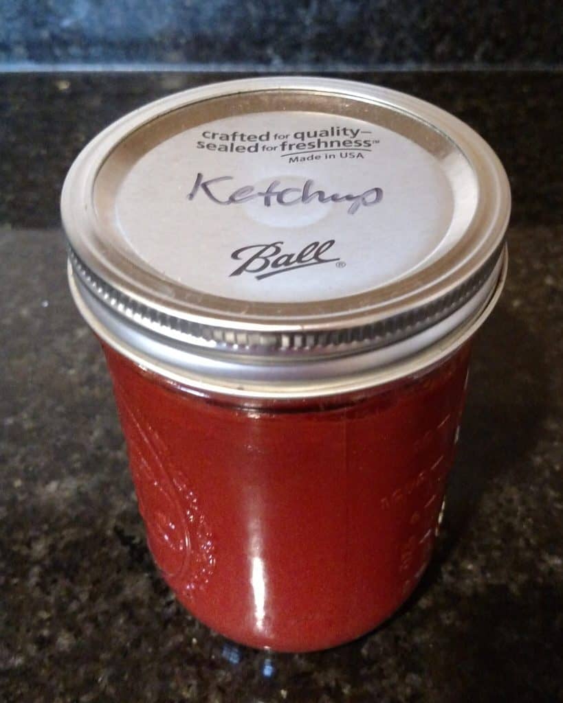 Easy Low Carb No Cook Ketchup - My Productive Backyard