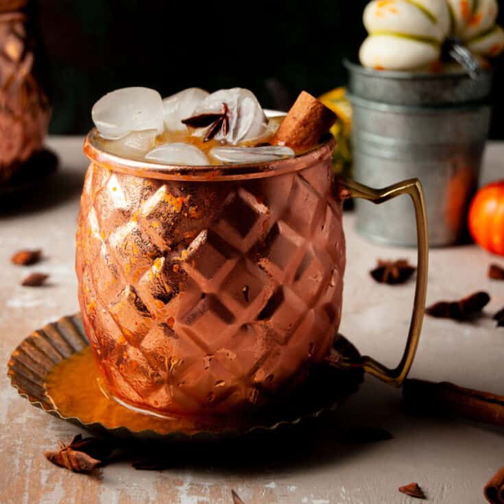 35 Pumpkin Spice Drink Recipes - My Productive Backyard