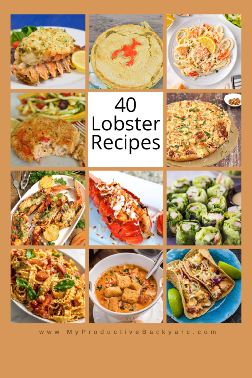 40 Lobster Recipes - My Productive Backyard