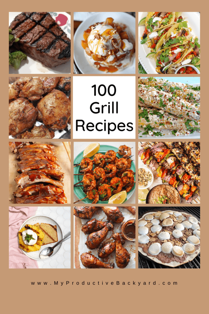 100 Grill Recipes - My Productive Backyard