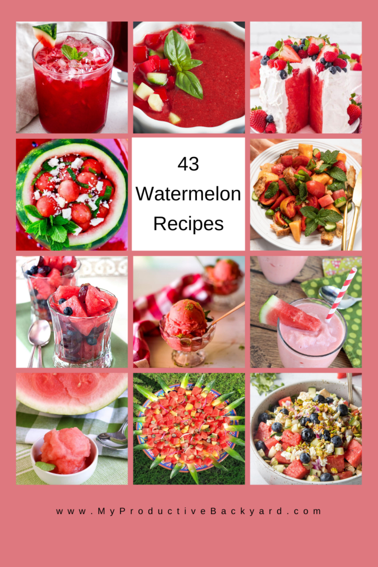 43 Watermelon Recipes - My Productive Backyard