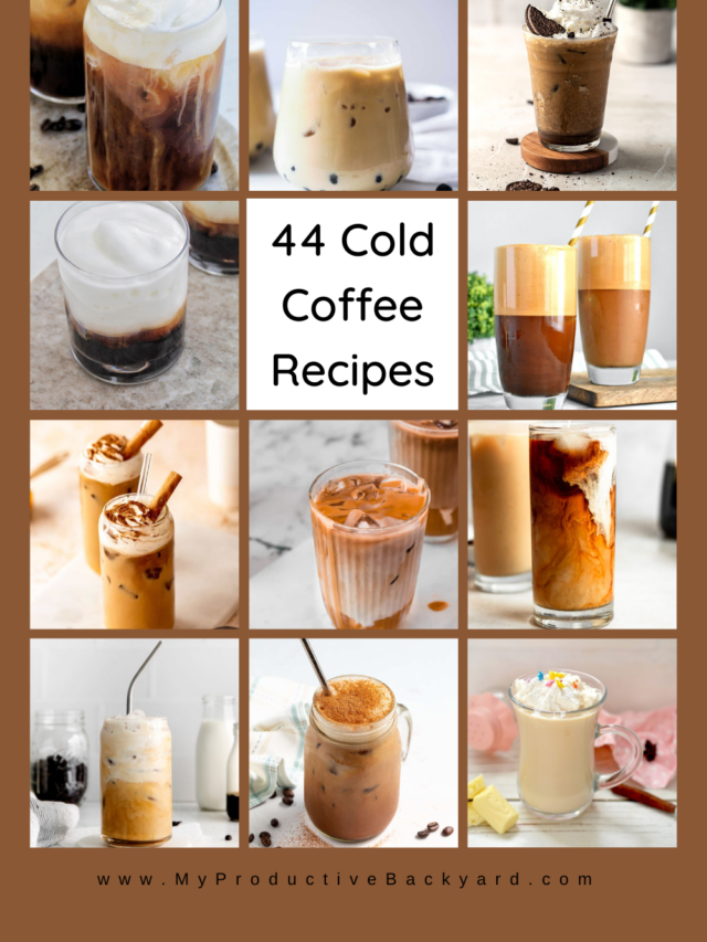 44 Cold Coffee Recipes - My Productive Backyard