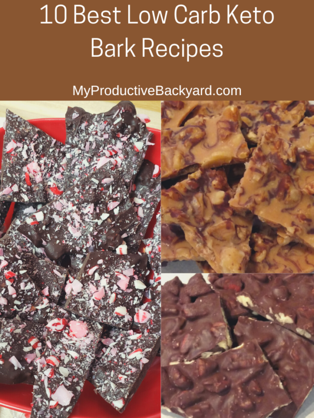 10 Best Low Carb Keto Bark Recipes - My Productive Backyard