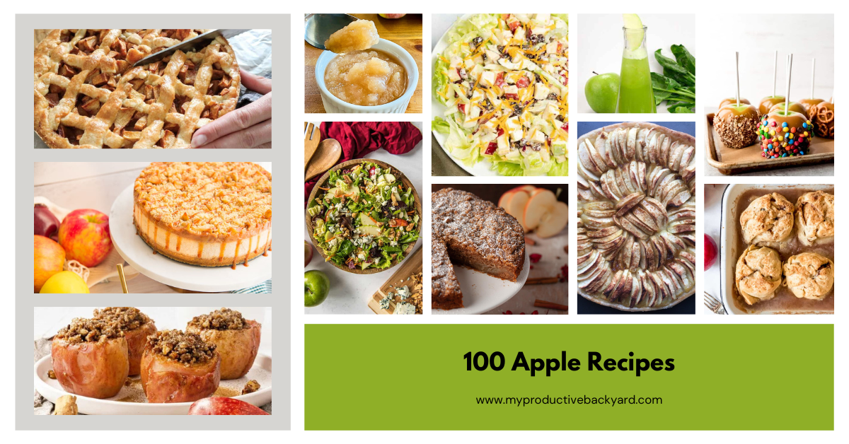100 Apple Recipes - My Productive Backyard
