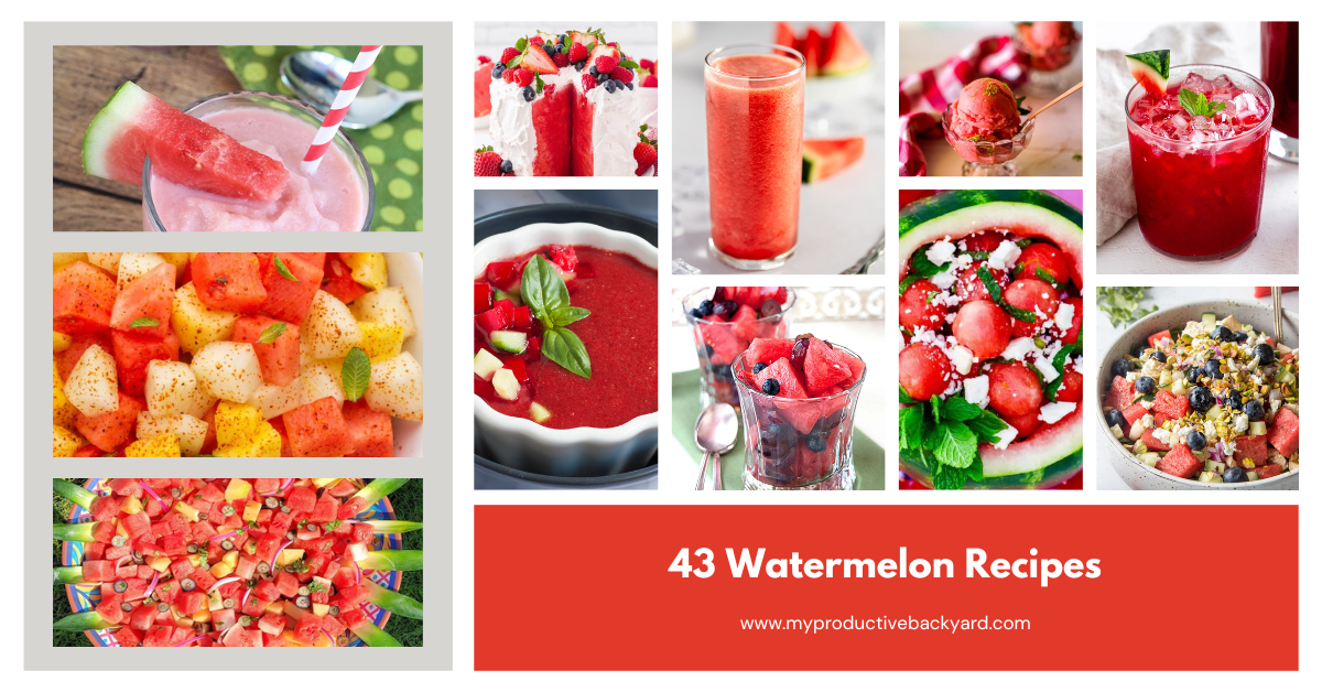43 Watermelon Recipes - My Productive Backyard