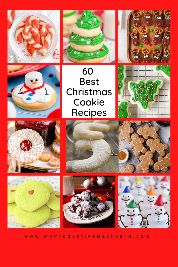 60 Best Christmas Cookie Recipes - My Productive Backyard