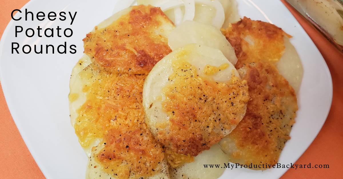 Cheesy Potato Rounds - My Productive Backyard