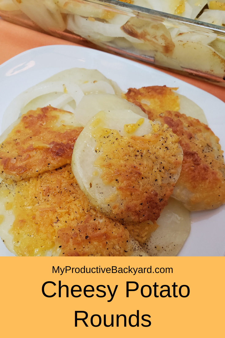 Cheesy Potato Rounds - My Productive Backyard