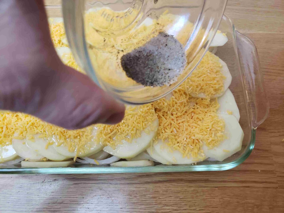 Cheesy Potato Rounds - My Productive Backyard